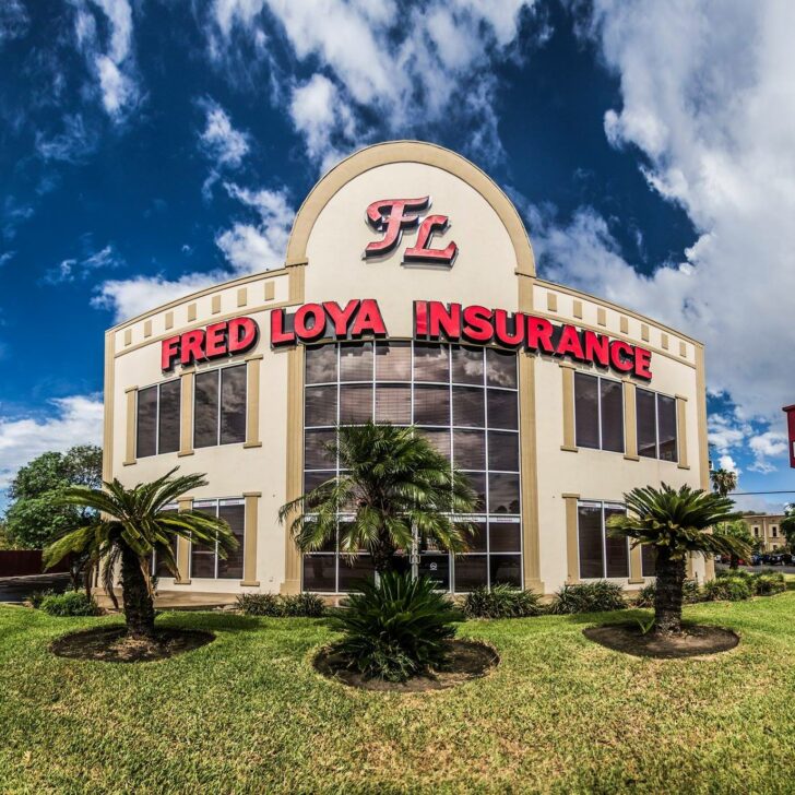 Fred Loya Net Worth, Age, Bio, Career, Family, Income & More